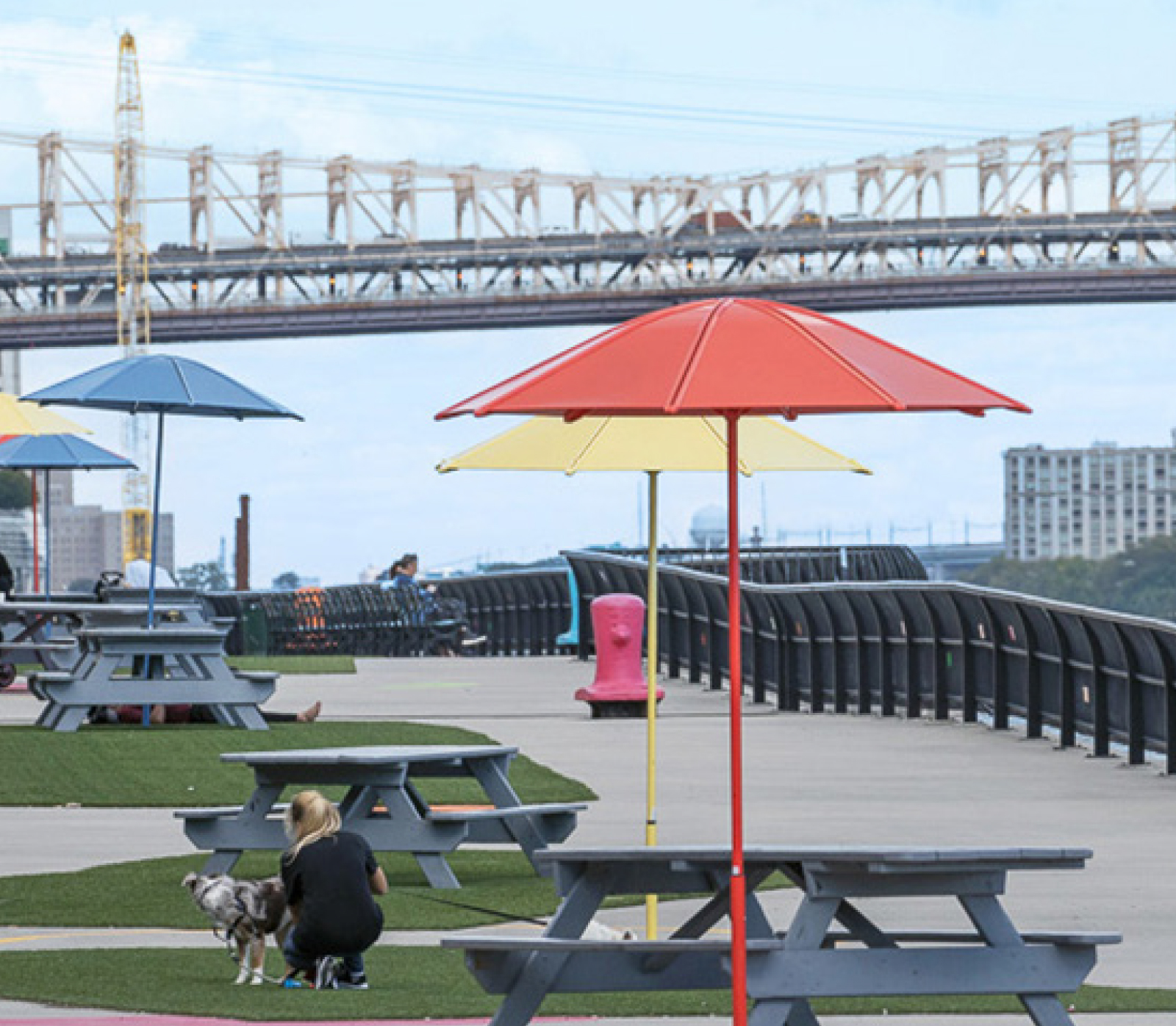 Discover the Vibrant Neighborhood | The Murray